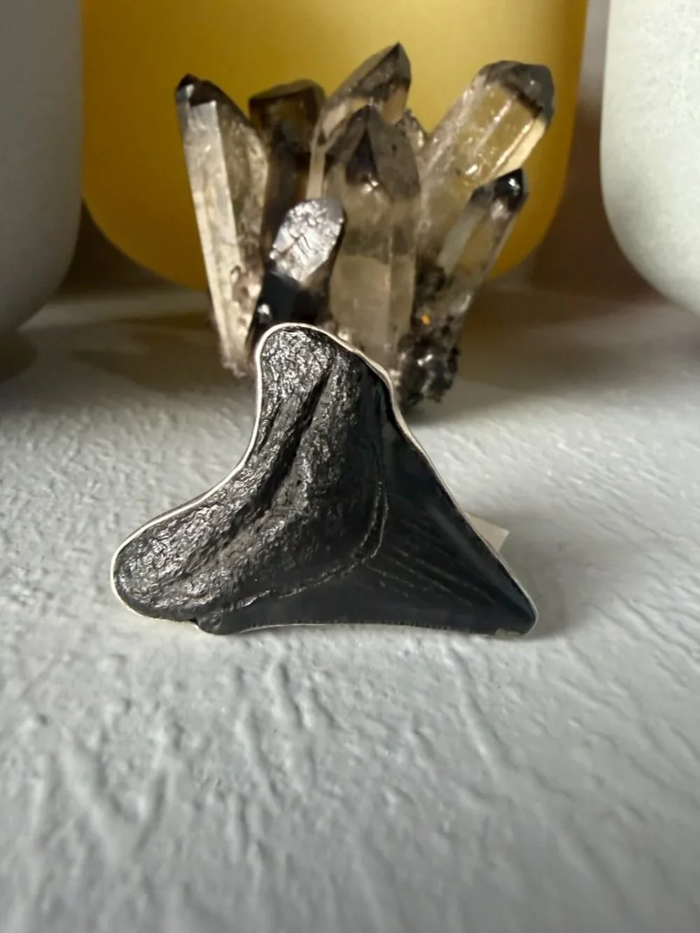 Charles Albert | Jewelry | Charles Albert Shark Tooth Fossil Sterling ...